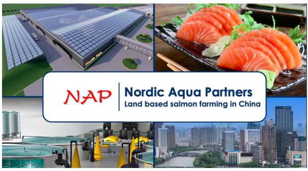 Seafood Media Group - Worldnews - Nordic Aqua Partners – First inlay of eggs completed, entering ...
